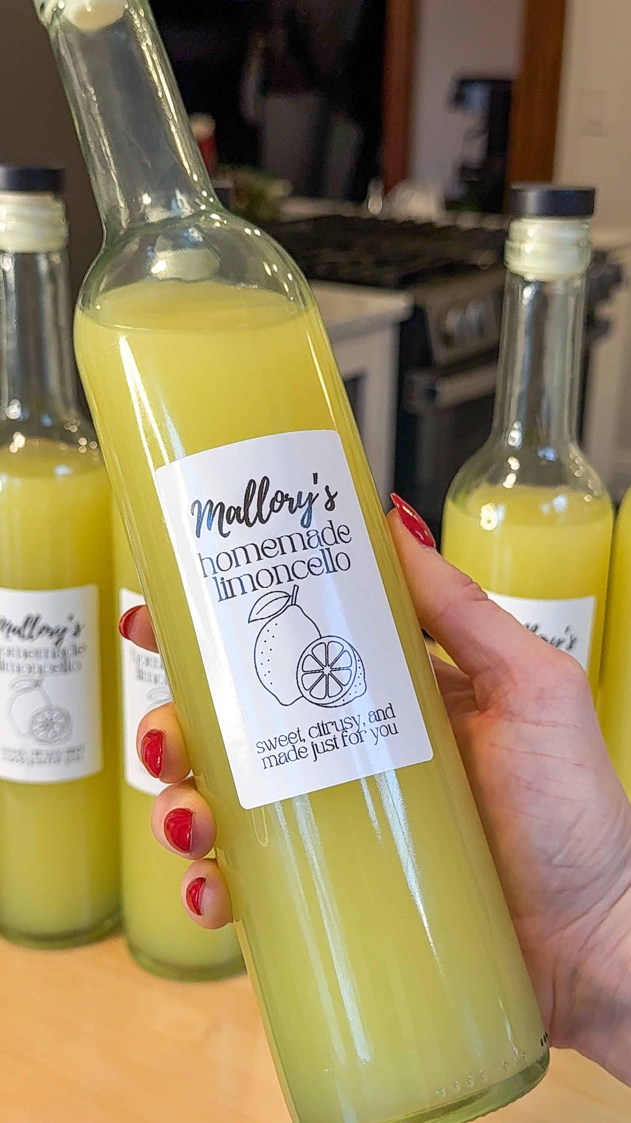 Easy Dunkin’ Copycat Everything Bagel Bites – Cheaper & Better at Home ...